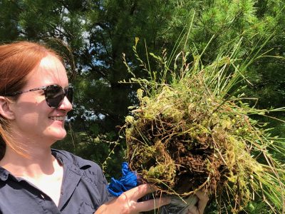 Research Associates – Plant and Agroecosystem Sciences