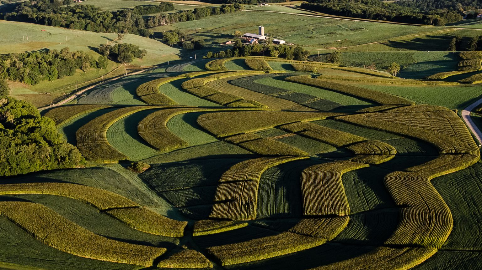 Plant and Agroecosystem Sciences – College of Agricultural & Life Sciences